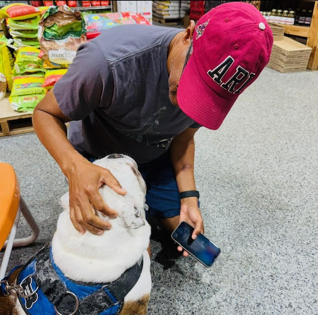 Frank Felix - Lone Star Bulldog Club Rescue